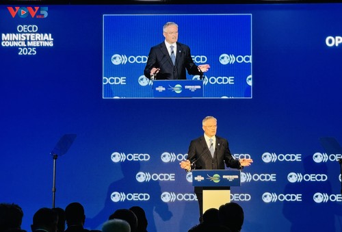 Tổng Thư ký OECD: Việt Nam chủ động và trách nhiệm khi đảm nhiệm vai trò đồng chủ tịch Chương ...