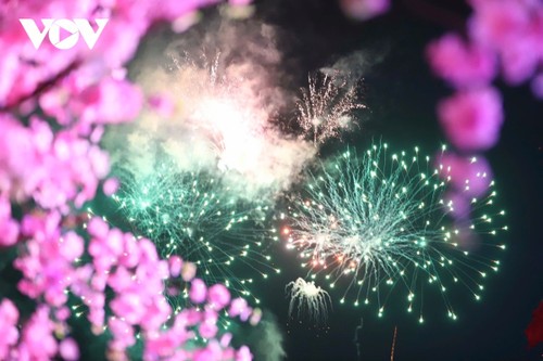 Los vietnamitas celebran el primer día del Año Nuevo Lunar 2025