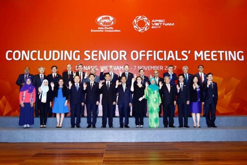 APEC 2017: Vietnam’s contribution to realizing Bogor Goals