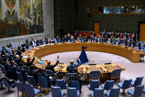 UNSC extends mandate of Committee Monitoring Nuclear, Biological ...