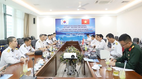Vietnamese, RoK navies hold consultation