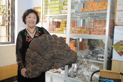 Nguyên Thi Chinh, championne des champignons!