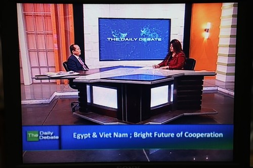 Egyptian channel showcases 60 years of Vietnam-Egypt relations