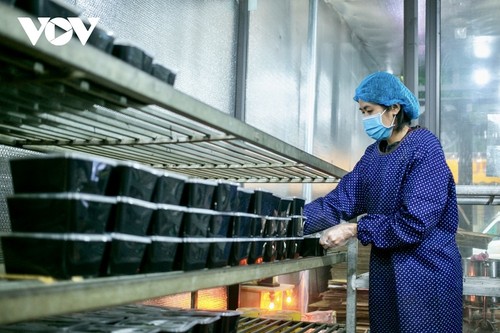 Thach An black grass jelly, a favorite specialty of Cao Bang province