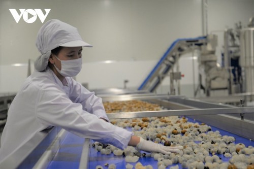 Vietnam aims to become world's top 10 agricultural processing center by ...