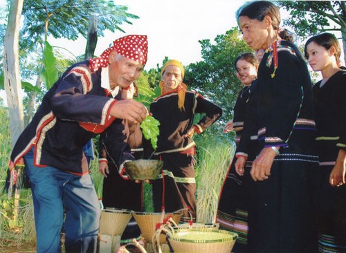 Cultural identity of the M’Nong